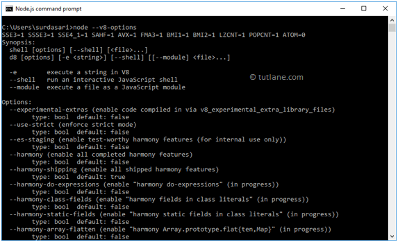 Node js Command Line Options Tutlane